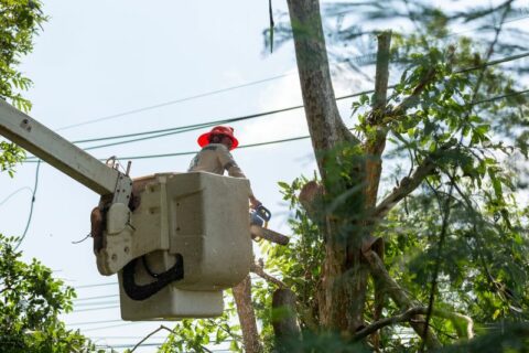 Utility Risk Management | Data-Driven Risk Framework for Grid Operators ...